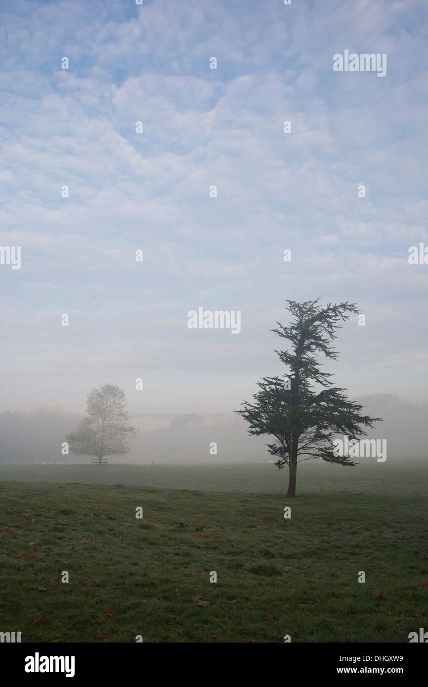 Rural misty scene hi-res stock photography and images - Alamy