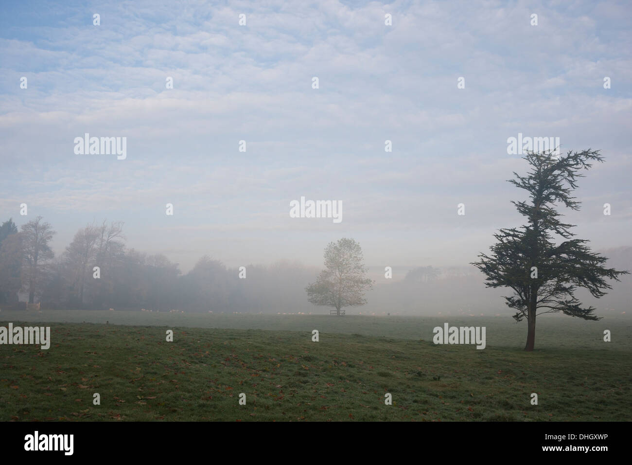 Misty morning rural scene Stock Photo - Alamy