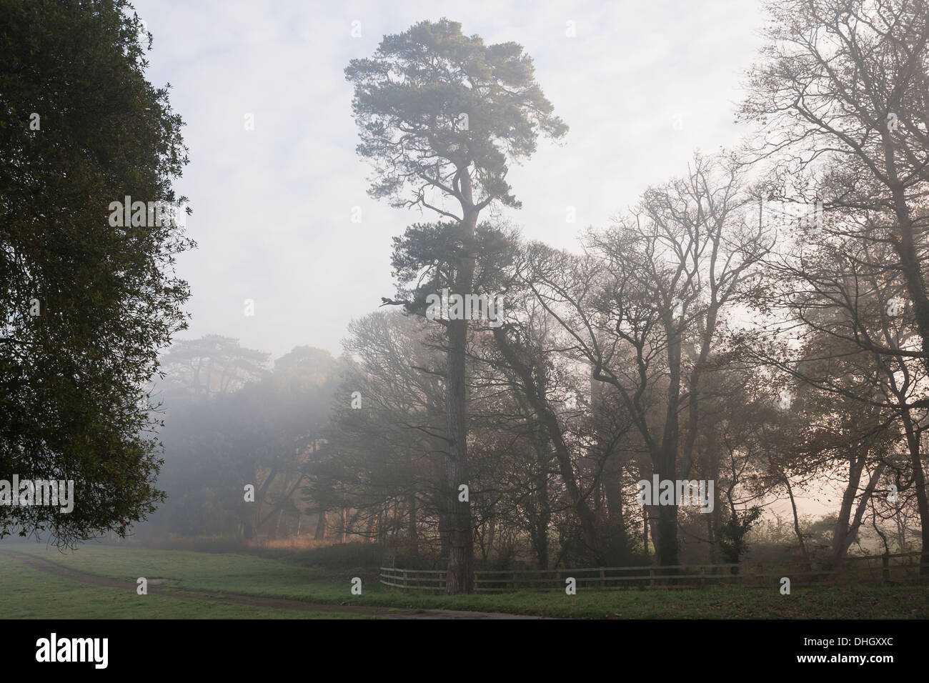 Misty morning rural scene Stock Photo - Alamy
