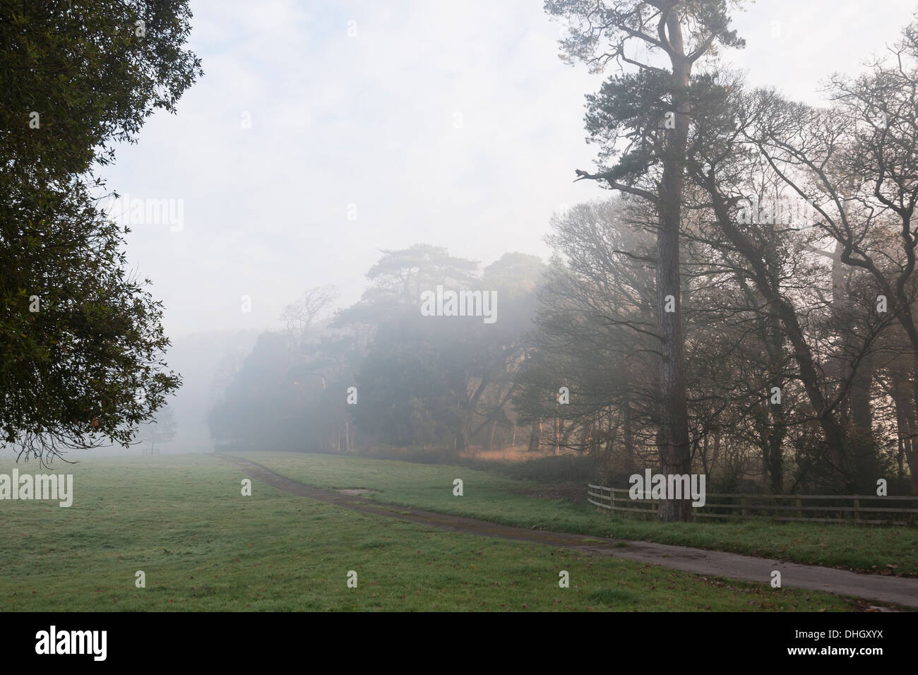 Misty morning rural scene Stock Photo - Alamy