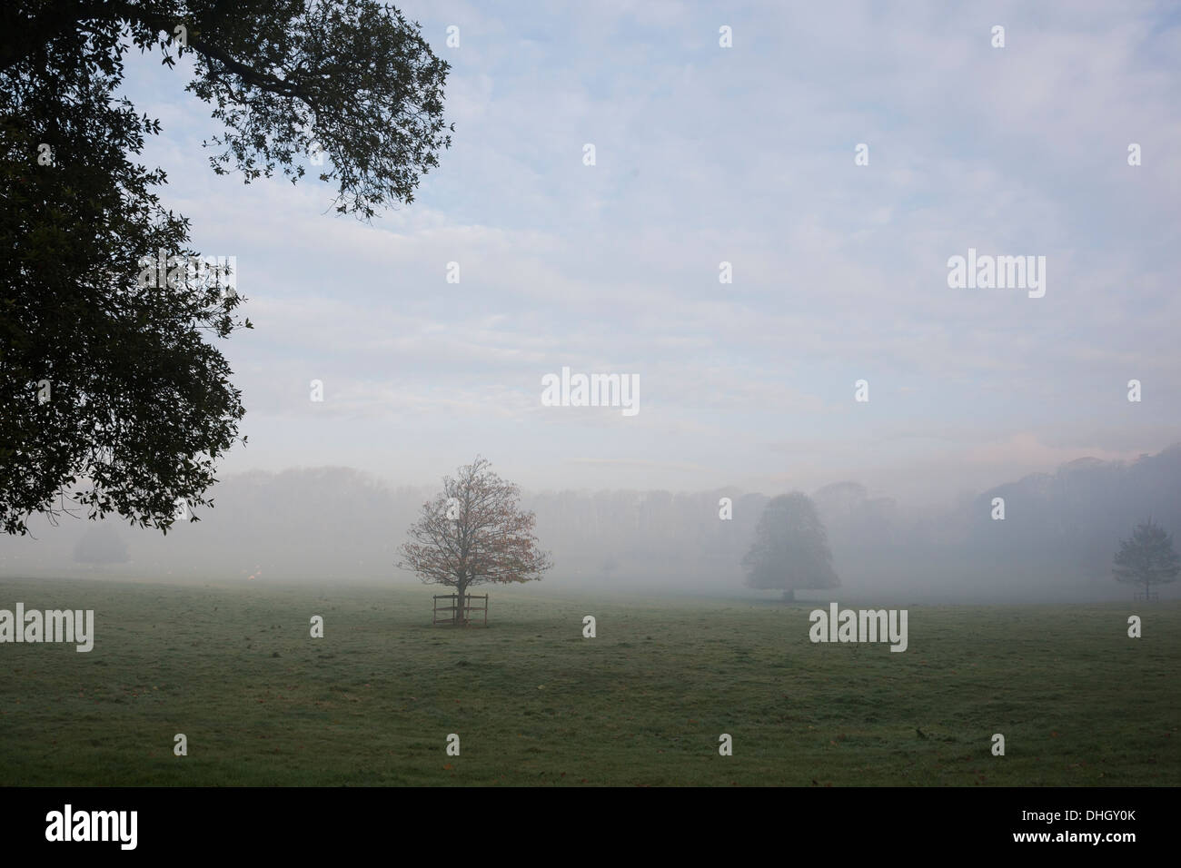 Misty morning rural scene Stock Photo - Alamy