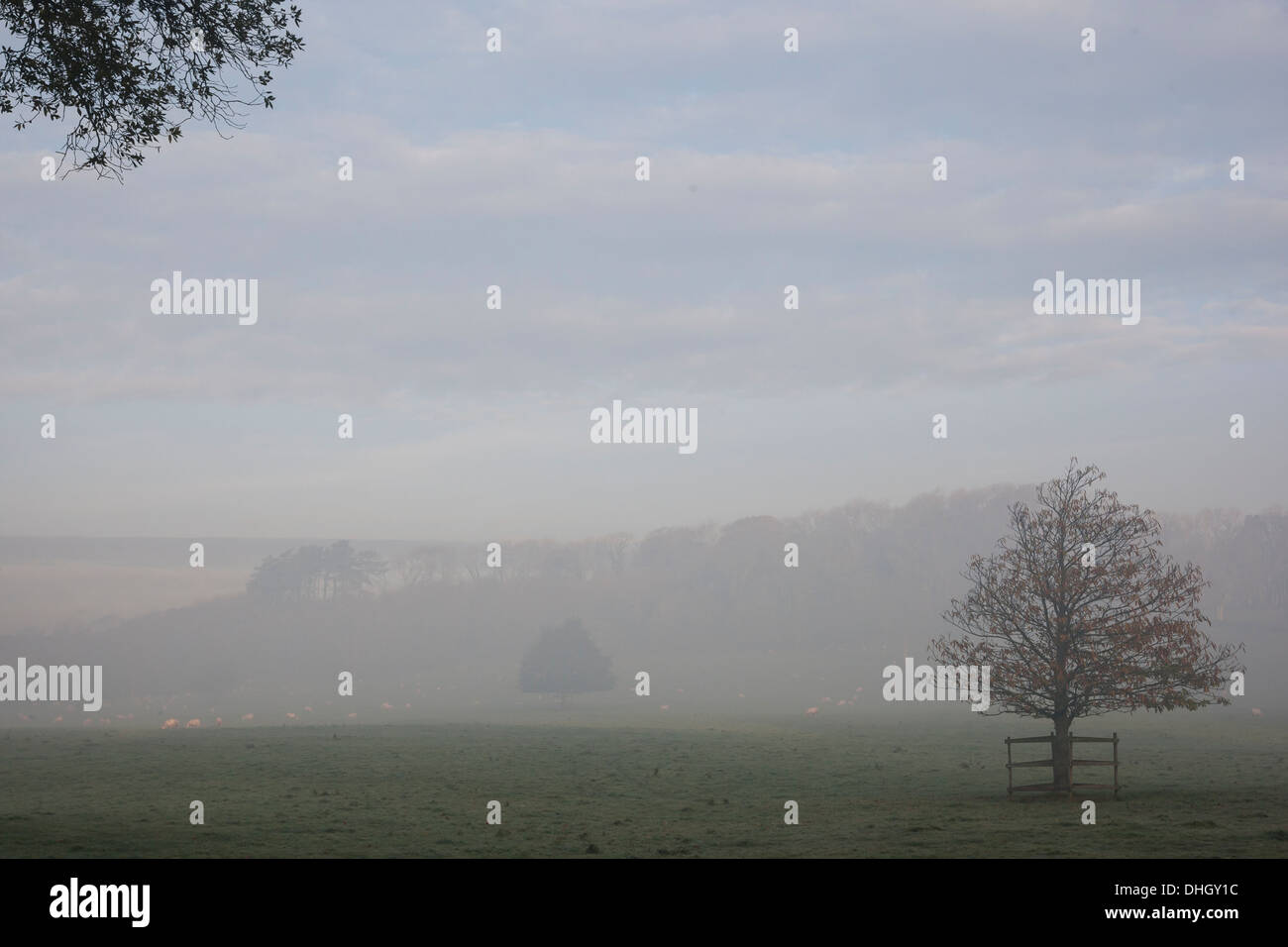 Misty morning rural scene Stock Photo - Alamy