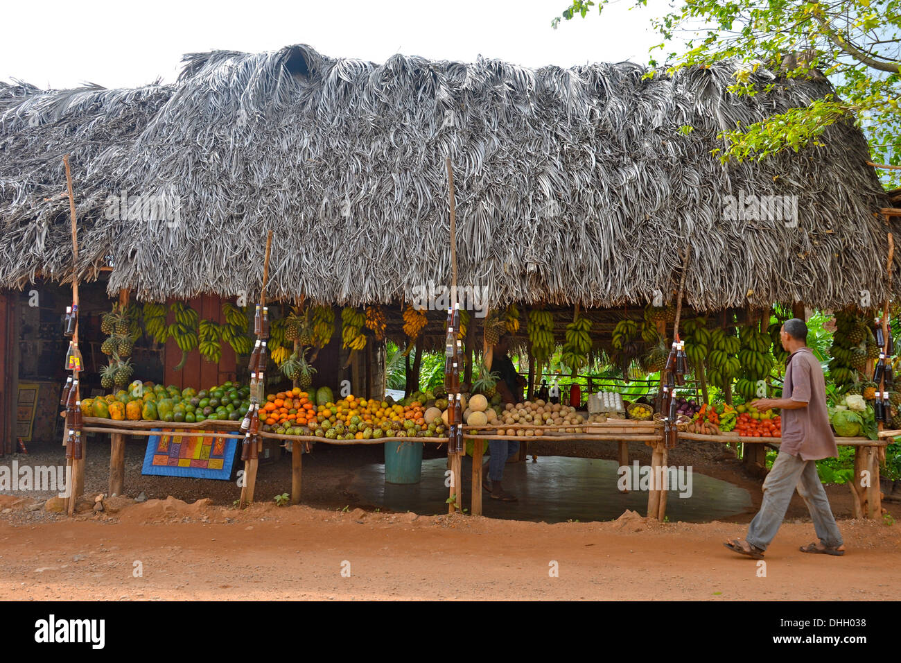 Dominican farm market Stock Photo - Alamy