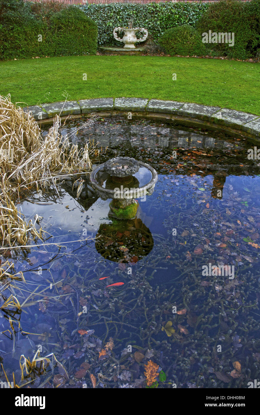 Pool in a traditional English garden Stock Photo - Alamy