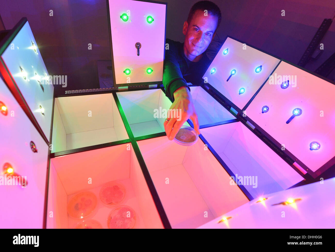 Markus Schmidt-Heydt of the Max Rubner Institute (MRI) lays mould ...