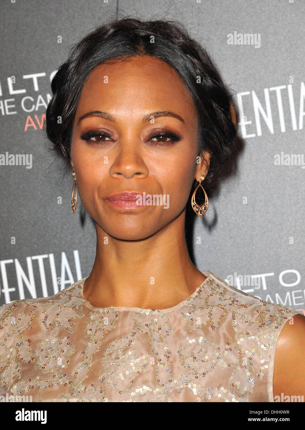 Los Angeles, CA, USA. 10th Nov, 2013. Zoe Saldana at arrivals for The ...