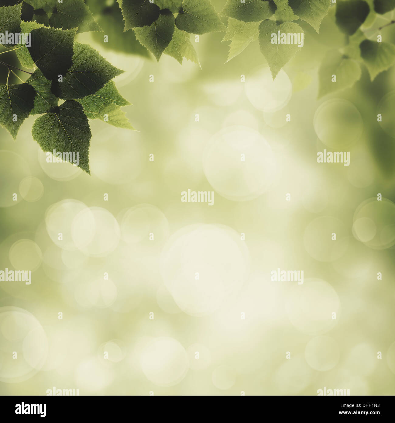 Abstract eco and environmental backgrounds for your design Stock Photo ...