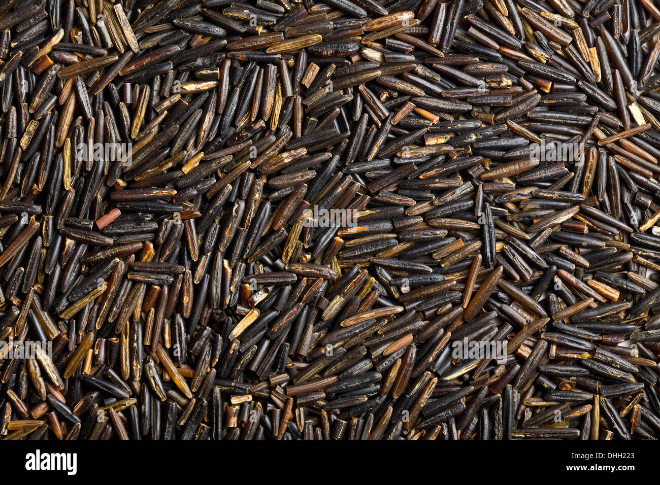 Wild rice grains hi-res stock photography and images - Alamy