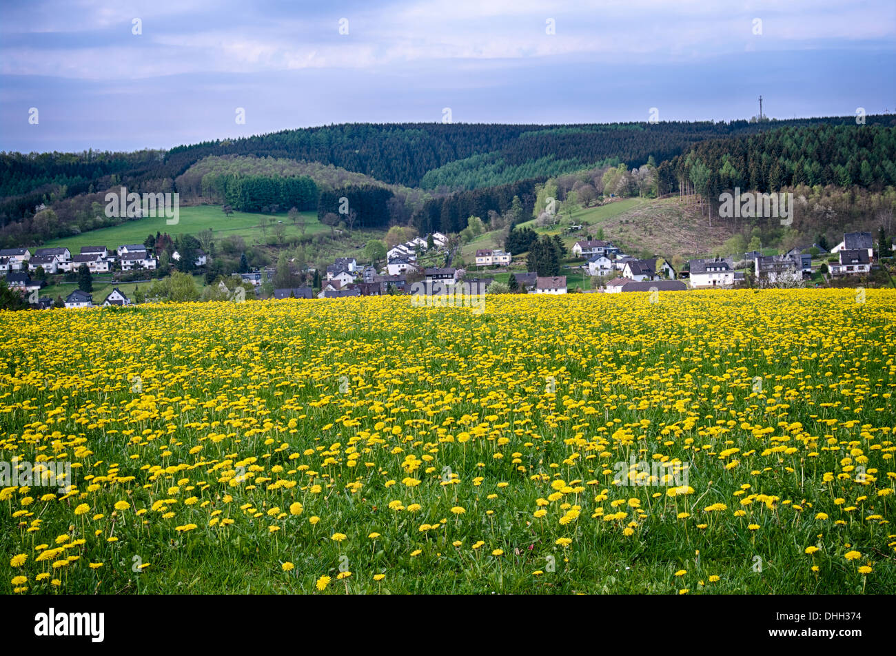 Spring feeling nature Stock Photo - Alamy