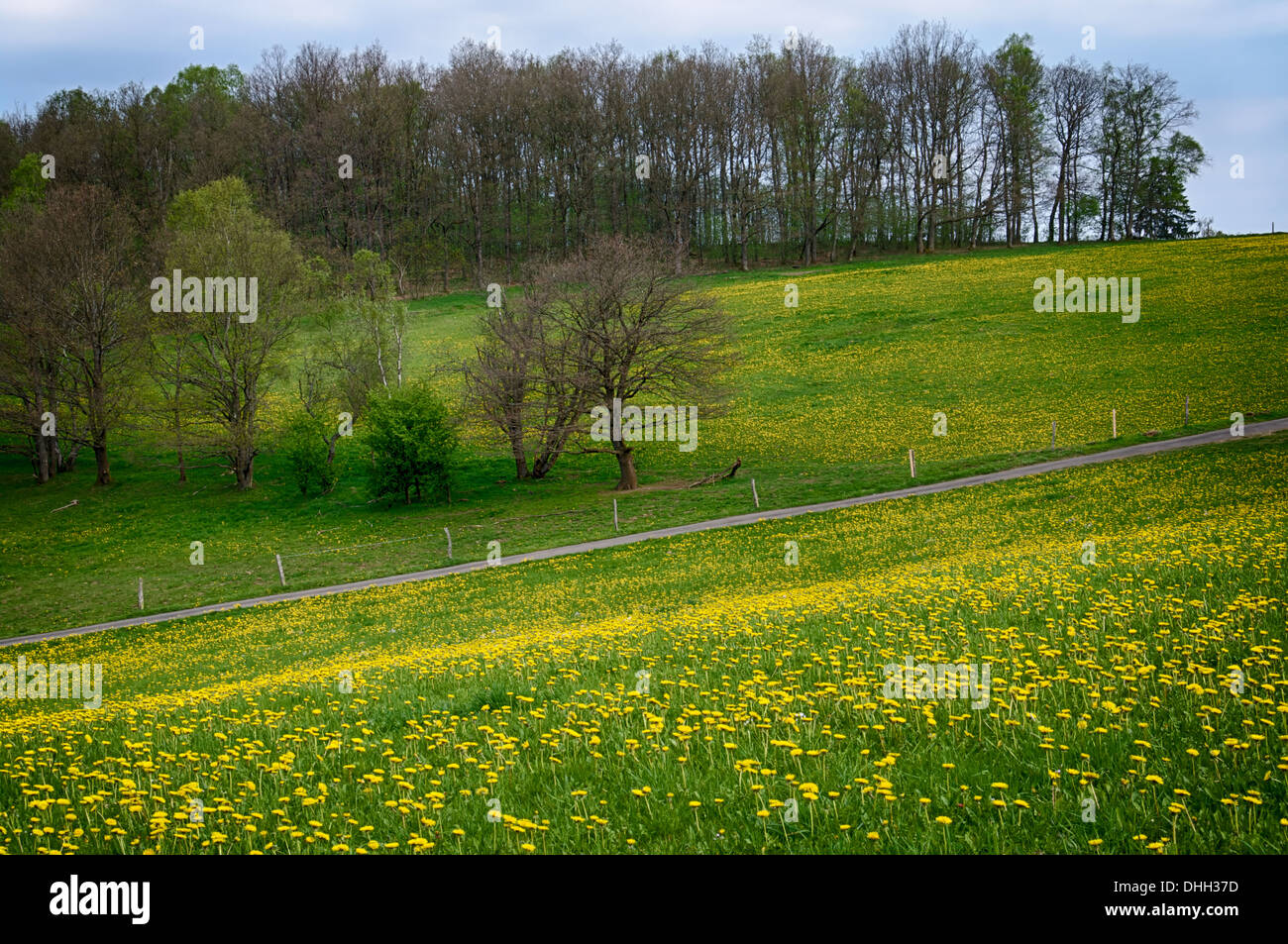 Spring feeling nature Stock Photo - Alamy
