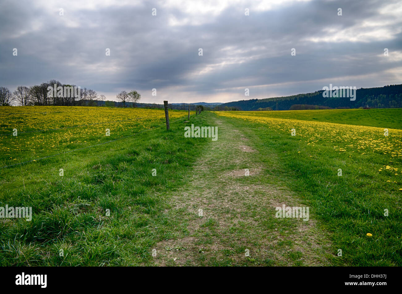 Spring feeling nature Stock Photo - Alamy