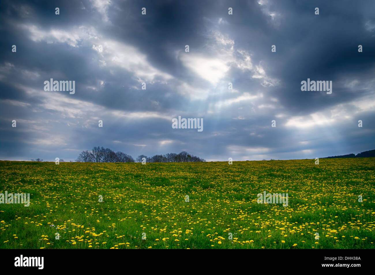 Spring feeling nature Stock Photo - Alamy