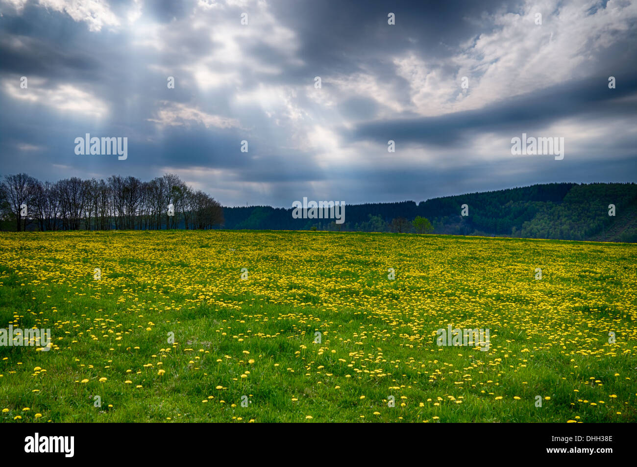Spring feeling nature Stock Photo - Alamy