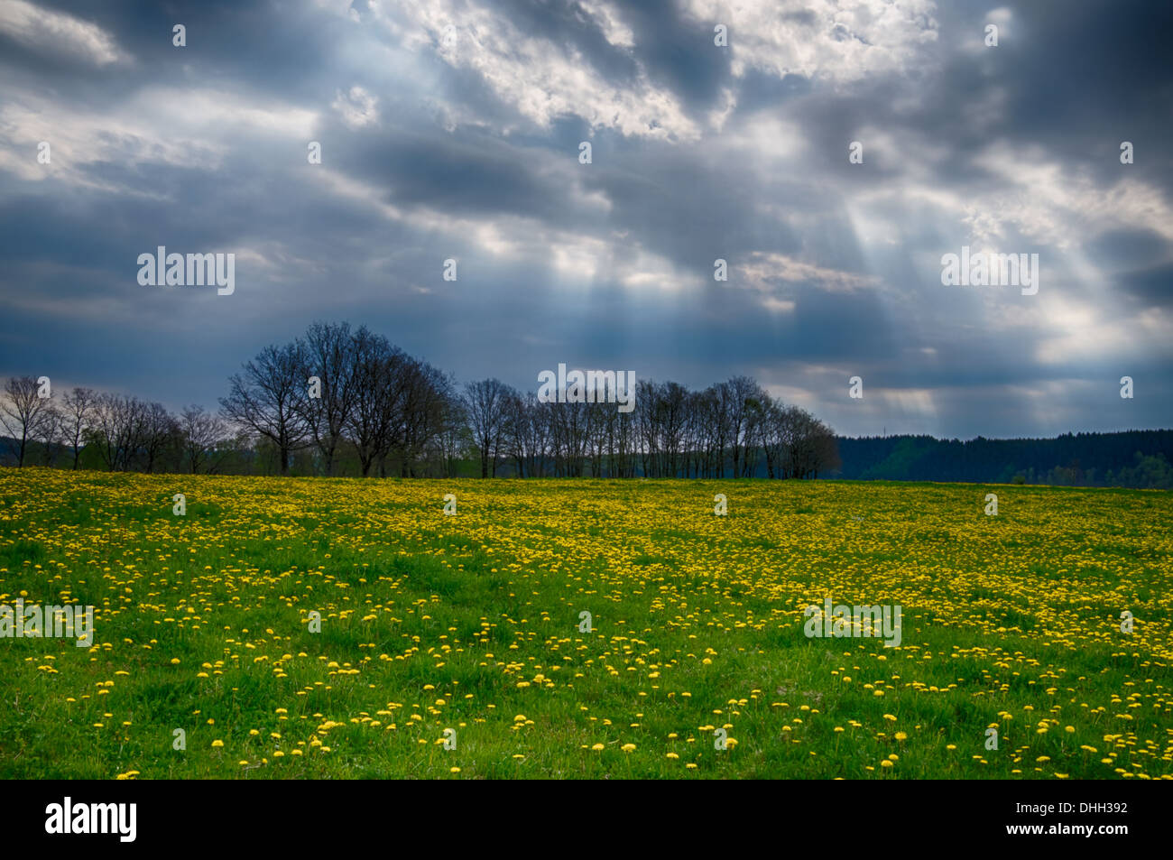 Spring feeling nature Stock Photo - Alamy