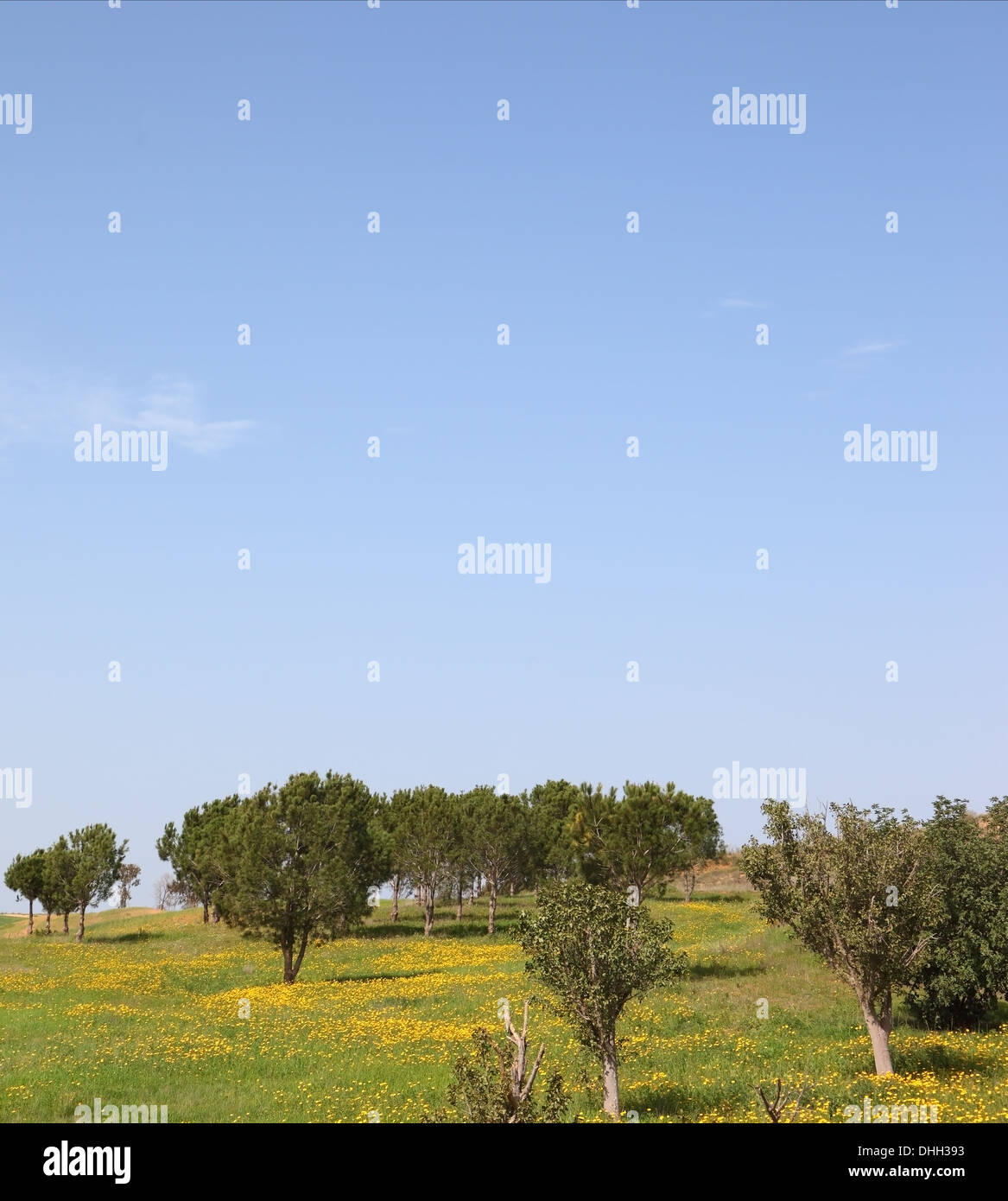 Spring day in israel hi-res stock photography and images - Alamy