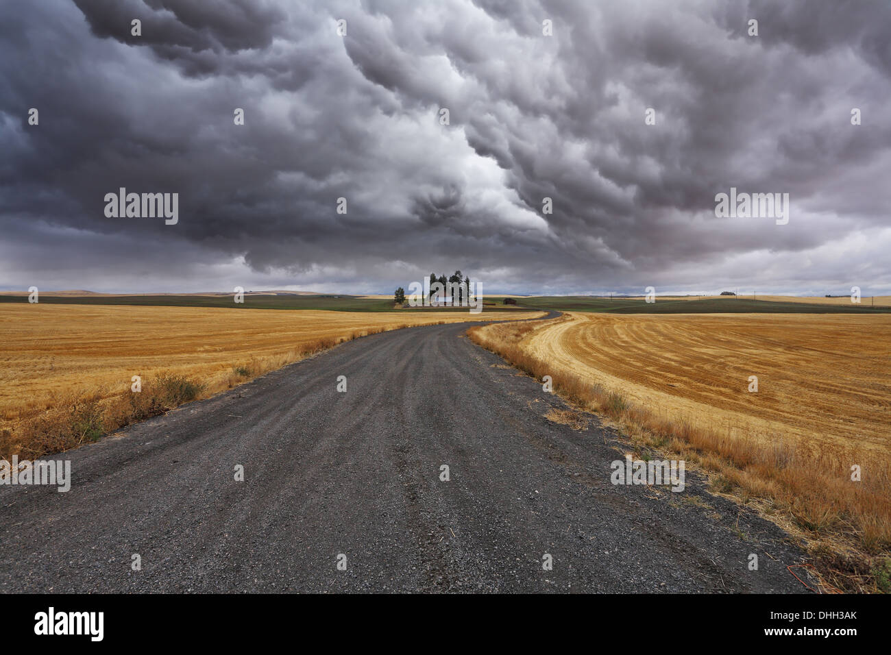 Rural soil road to fields Stock Photo - Alamy