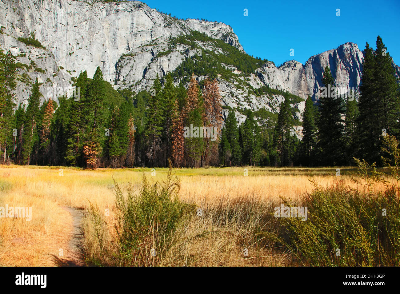 Yellow grass mountain hi-res stock photography and images - Alamy