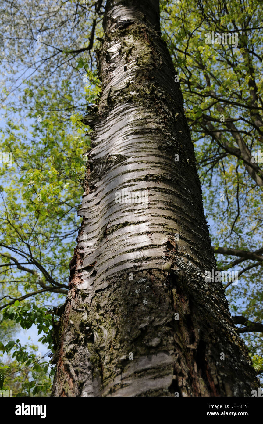 Seet hi-res stock photography and images - Alamy