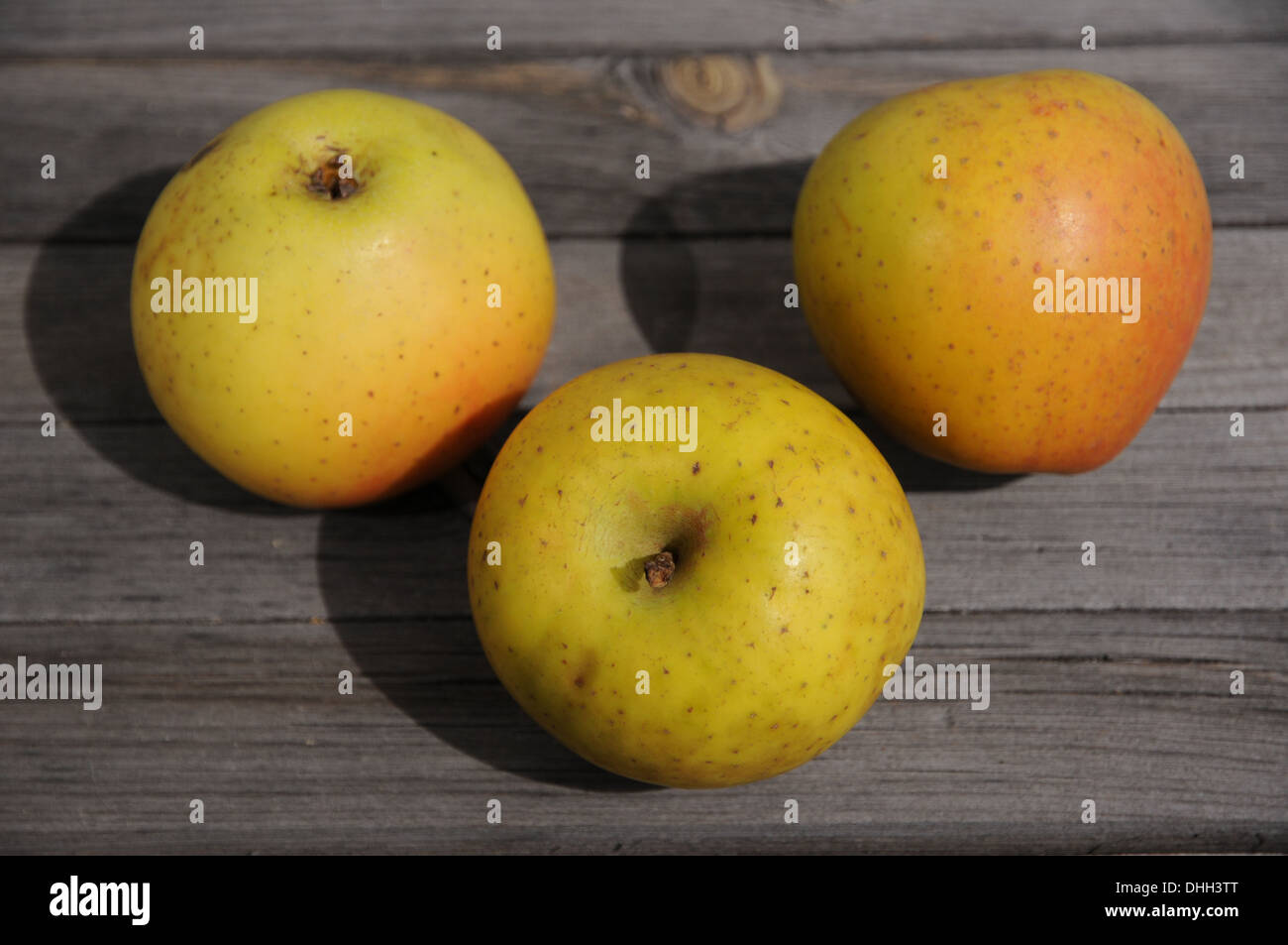 Goldrush apples hi-res stock photography and images - Alamy