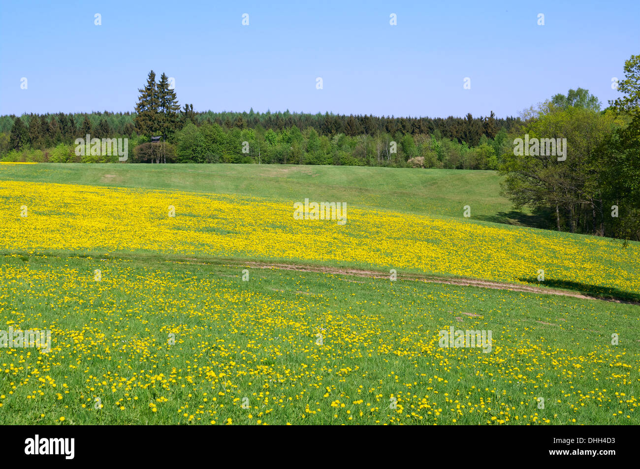 Deutschland spring hi-res stock photography and images - Alamy