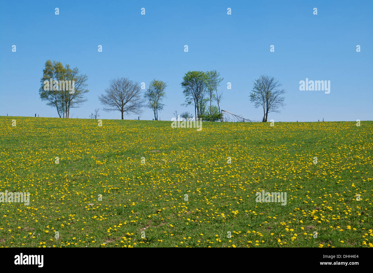 Spring feeling nature Stock Photo - Alamy
