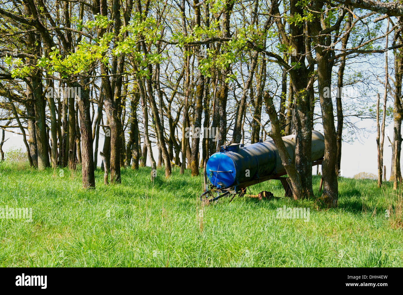 Spring feeling nature Stock Photo - Alamy