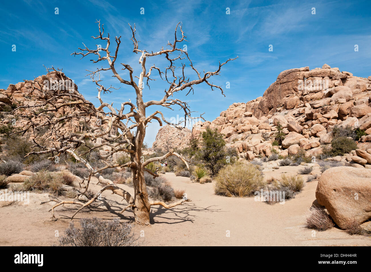 California, Joshua Tree National Park, Hidden Valley Trail, hikers ...