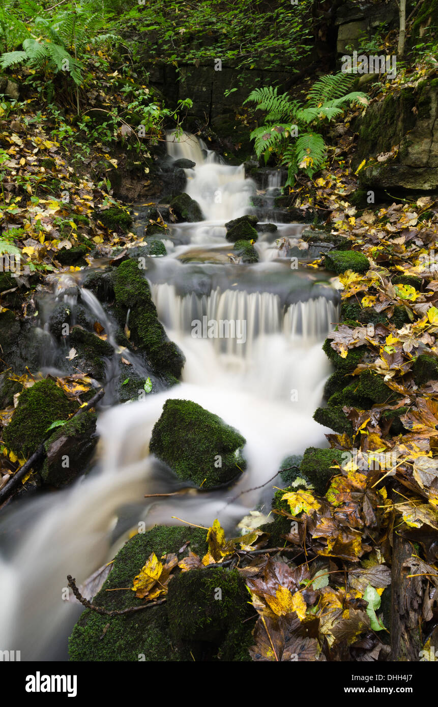 Stream waterfall in woods hi-res stock photography and images - Alamy