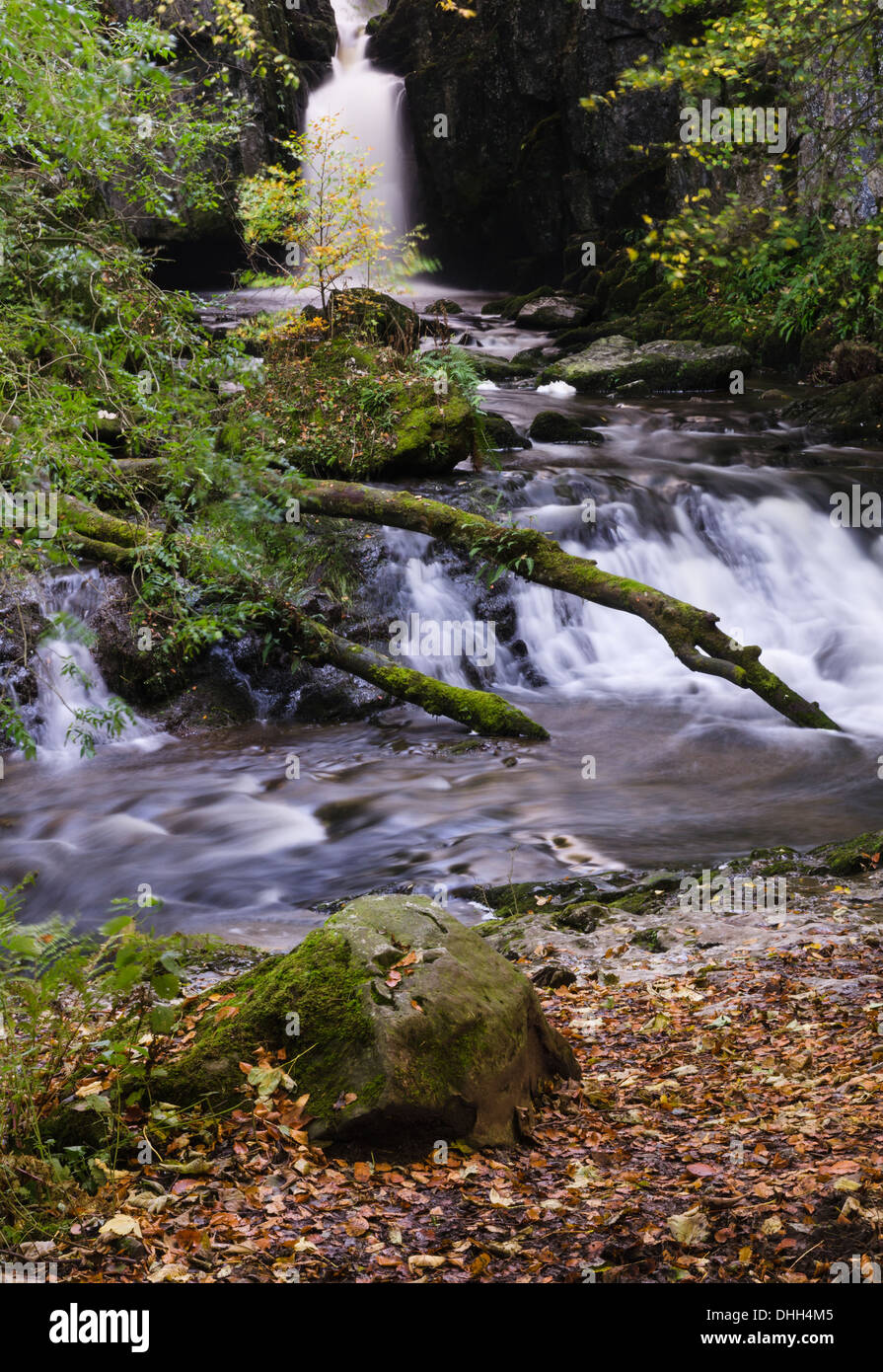 Catrigg Force waterfall in autumn Stock Photo - Alamy