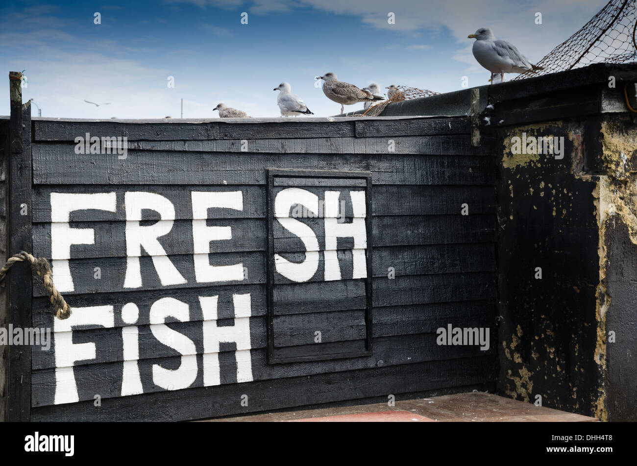 Fresh Fish shed with waiting sea gulls Stock Photo - Alamy