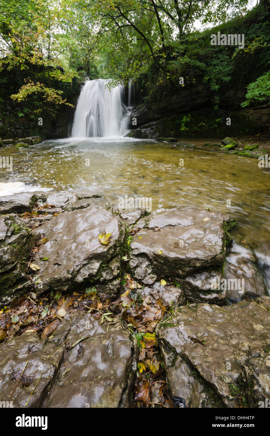 Janet's Foss waterfall in the Yorkshire Dales Stock Photo - Alamy
