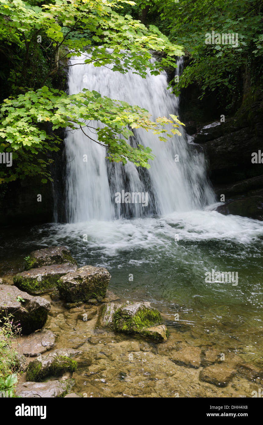 Janet's Foss waterfall in the Yorkshire Dales Stock Photo - Alamy