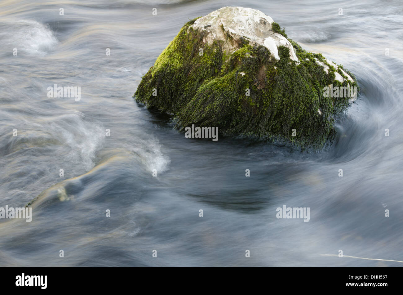 Moss covered rock hi-res stock photography and images - Alamy