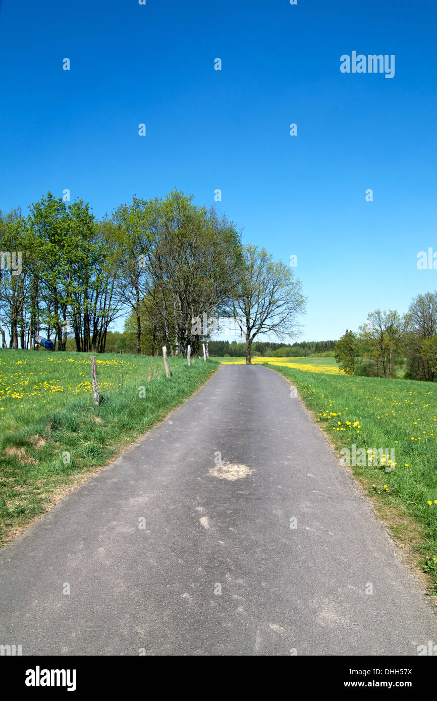 Spring feeling nature Stock Photo - Alamy