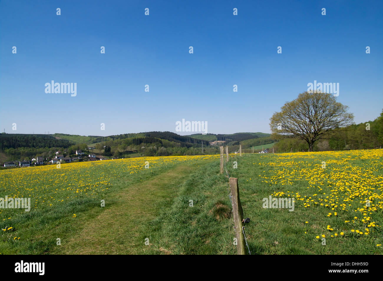 Wiese spring hi-res stock photography and images - Alamy