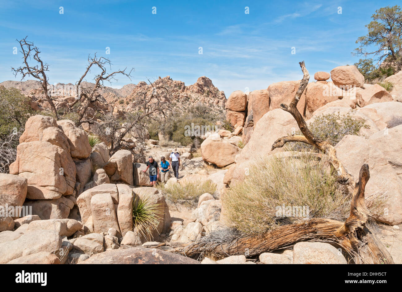 California, Joshua Tree National Park, Hidden Valley Trail, hikers ...