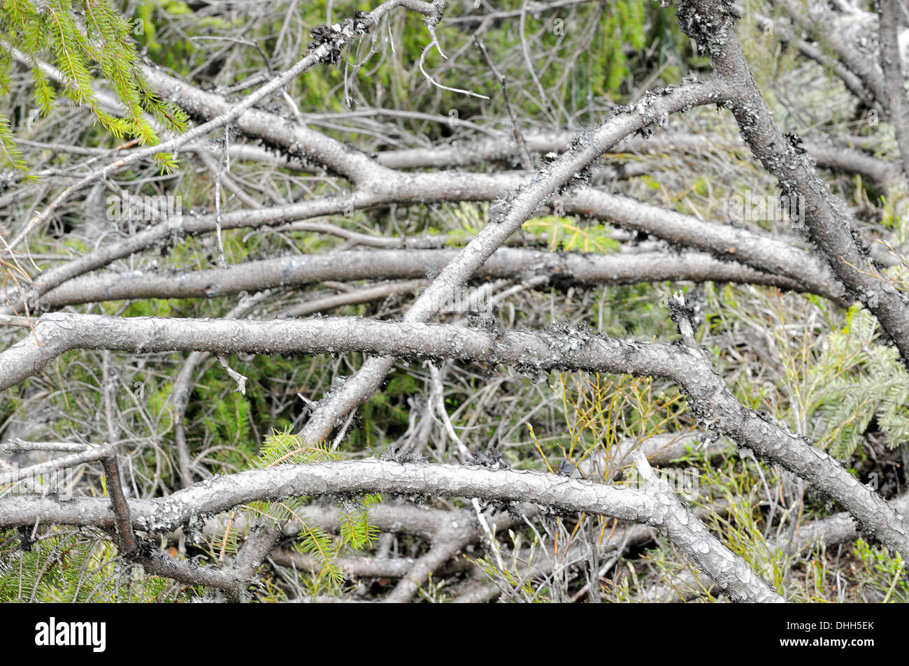 Hopeless hi-res stock photography and images - Alamy