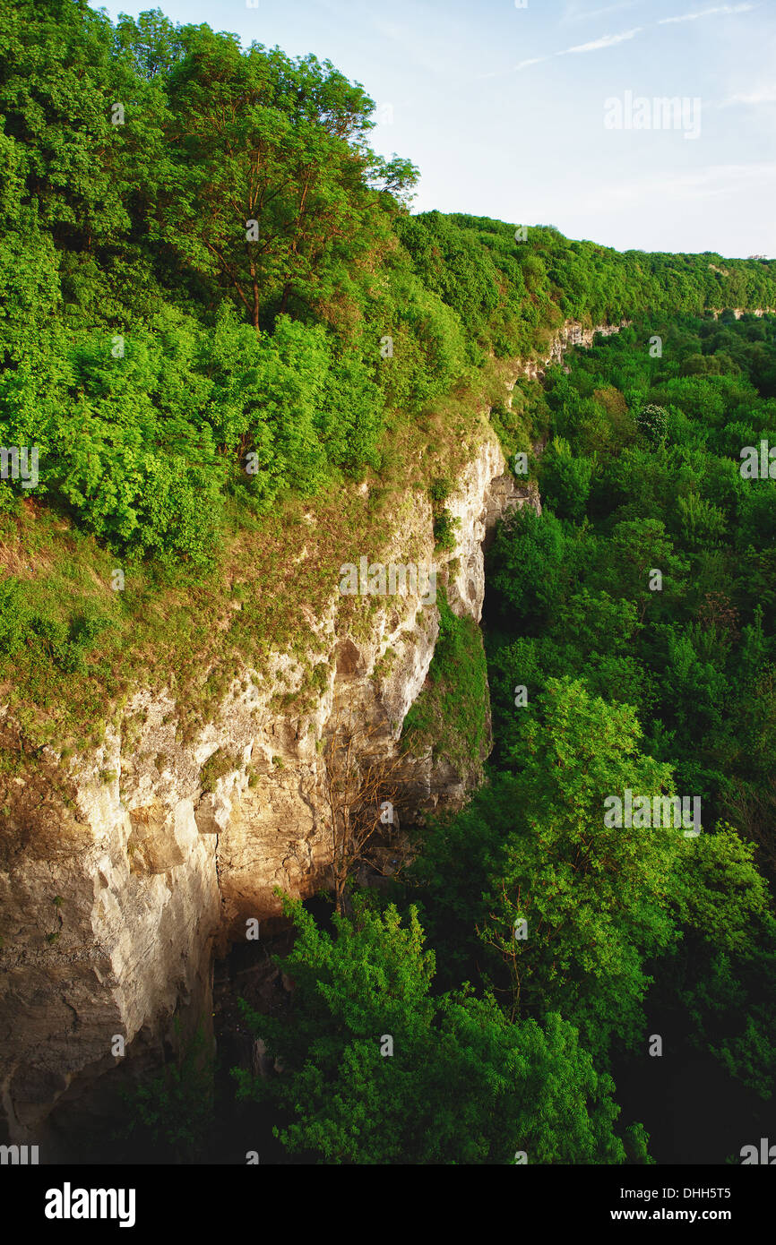 Canyon forest hi-res stock photography and images - Alamy