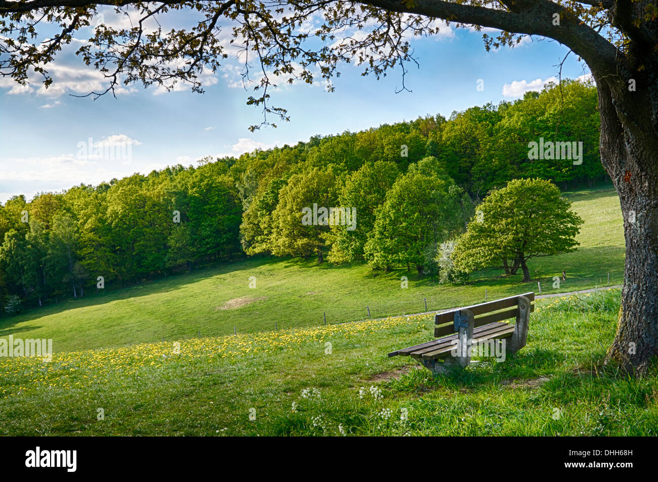 spring feeling nature Stock Photo - Alamy