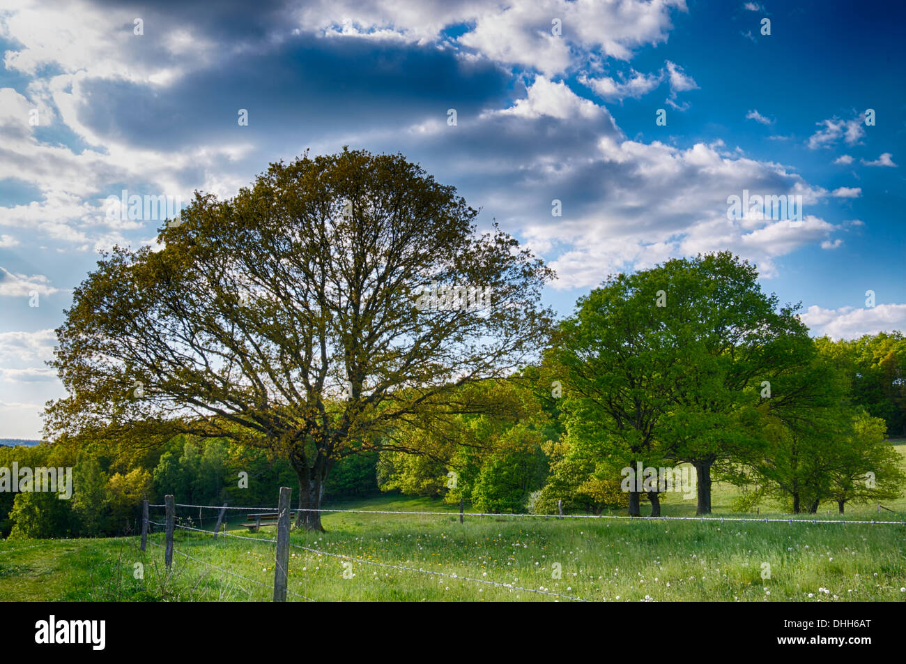 H nature hi-res stock photography and images - Alamy