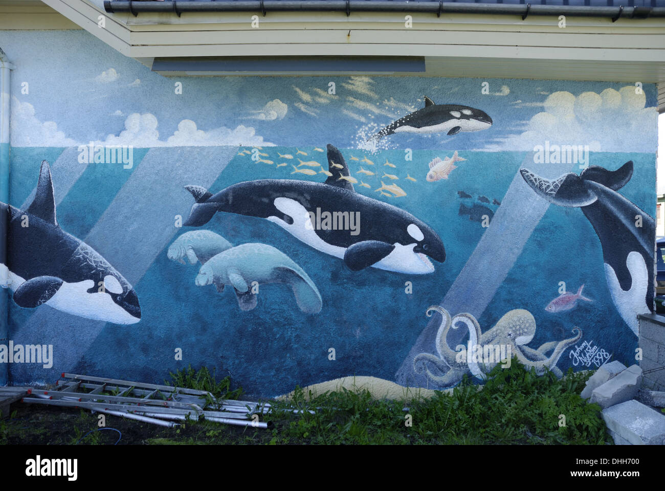 Orca whales norway hi-res stock photography and images - Alamy