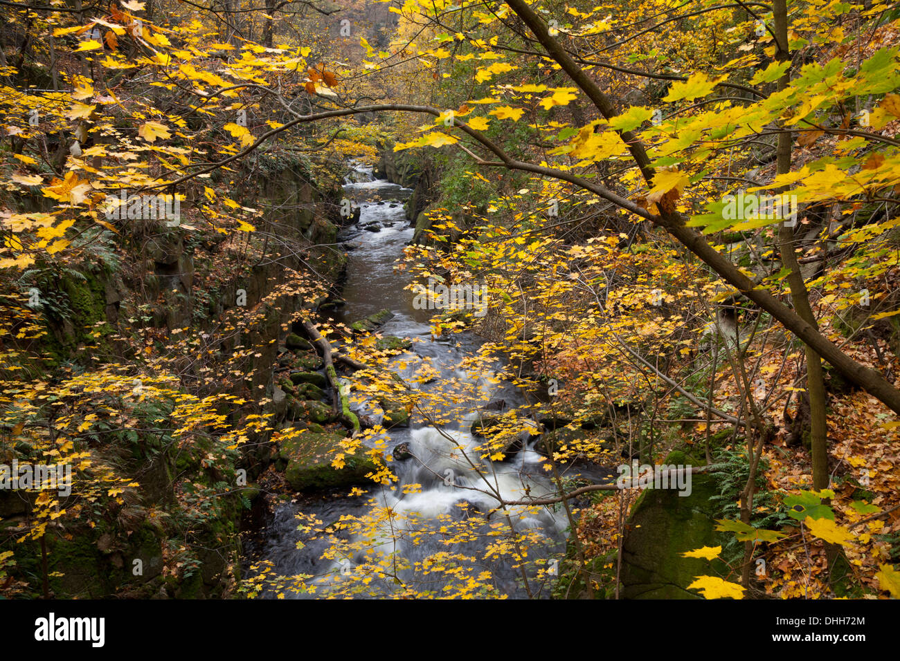 Bodetal valley in autumn, Thale, Harz, National park Hochharz, Saxony ...
