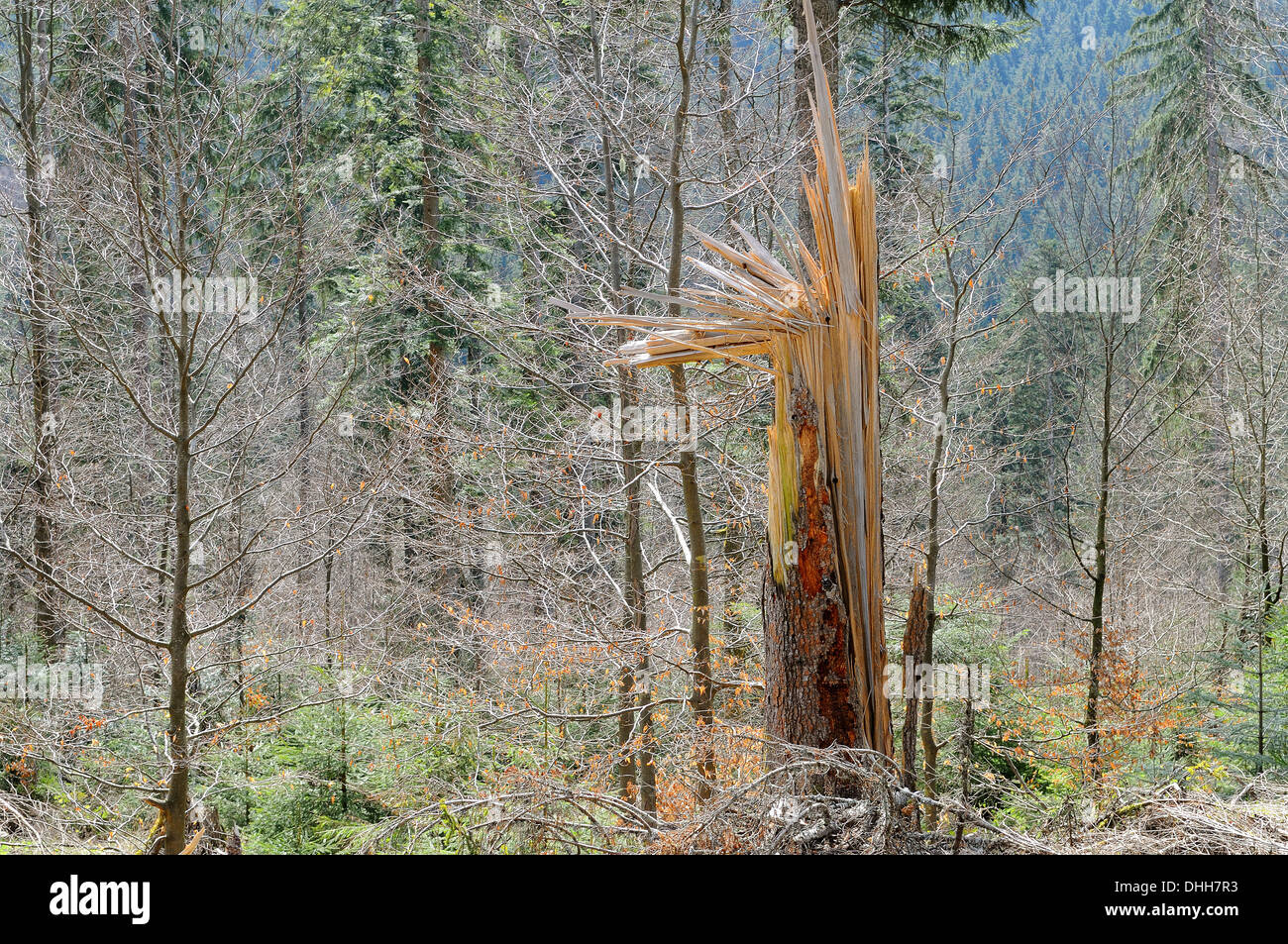 Windfall reserve hi-res stock photography and images - Alamy