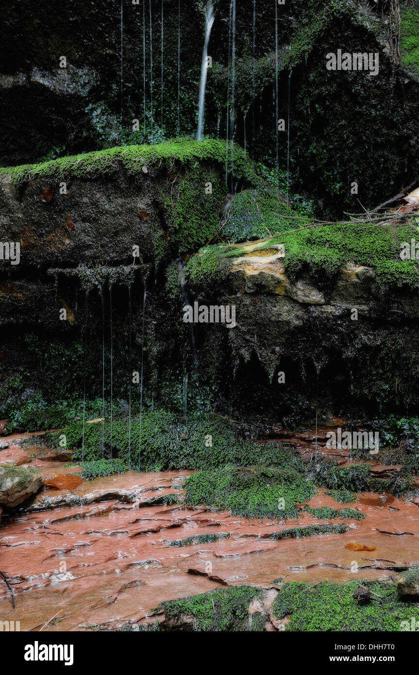 Streams of water in the moss soft Stock Photo - Alamy