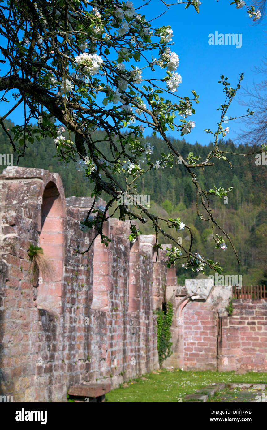 Romantic garden fence Stock Photo - Alamy