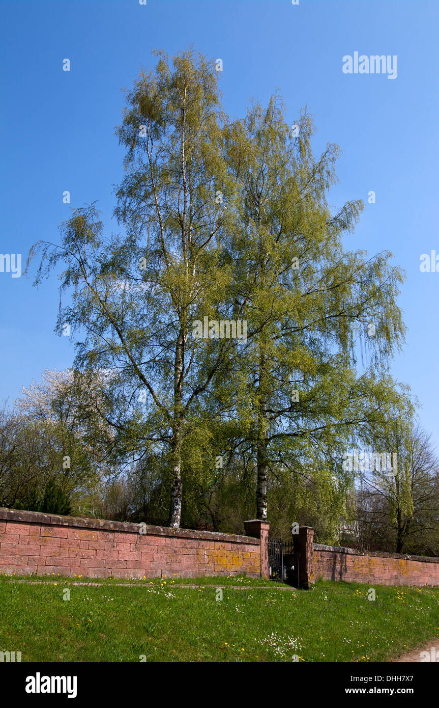 Romantic garden fence Stock Photo - Alamy