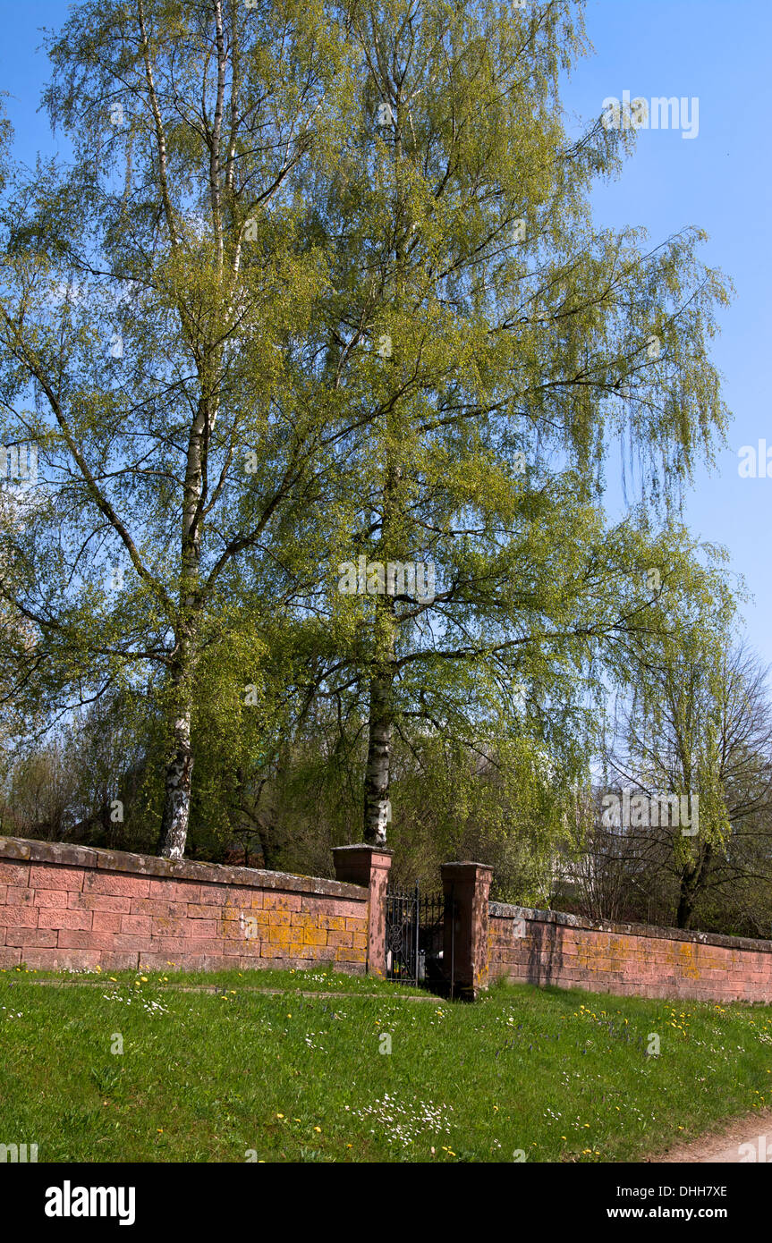 Romantic garden fence Stock Photo - Alamy