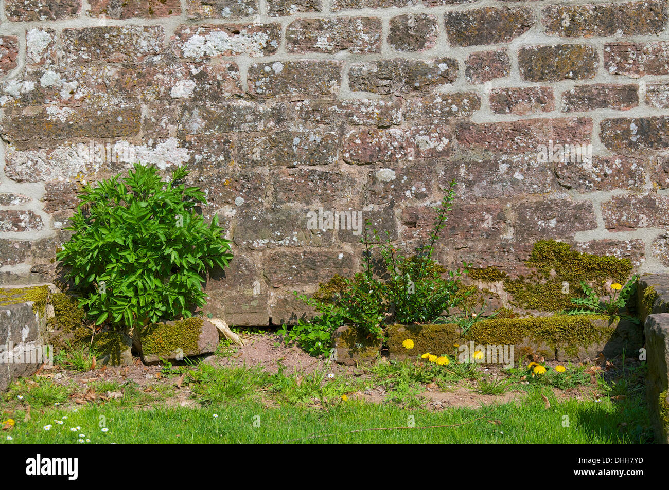 Romantic garden fence Stock Photo - Alamy