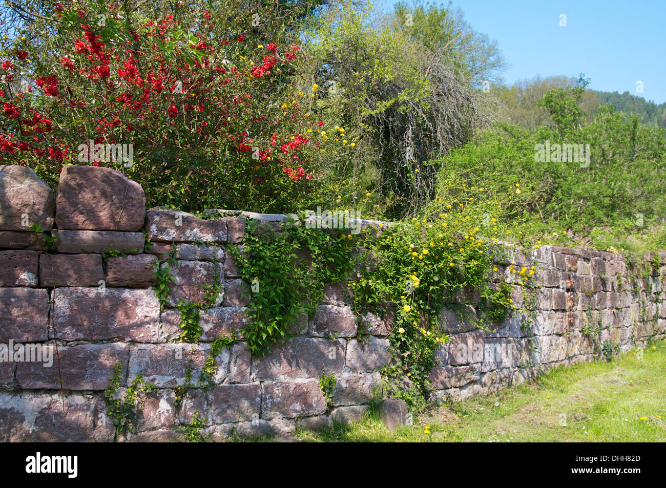 Romantic fence hi-res stock photography and images - Alamy