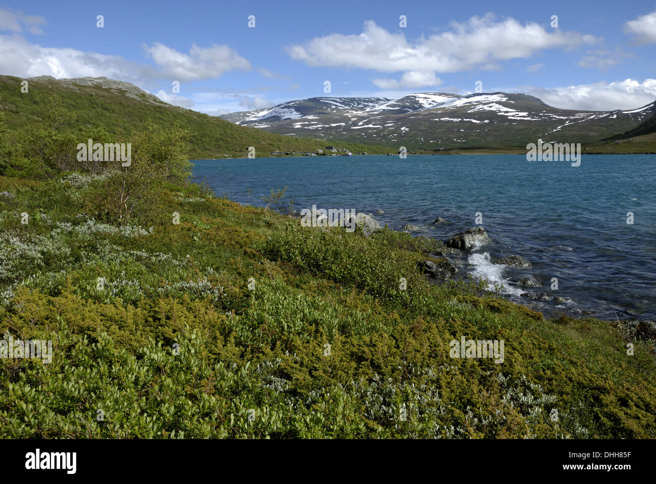 Norway lake gjende hi-res stock photography and images - Alamy